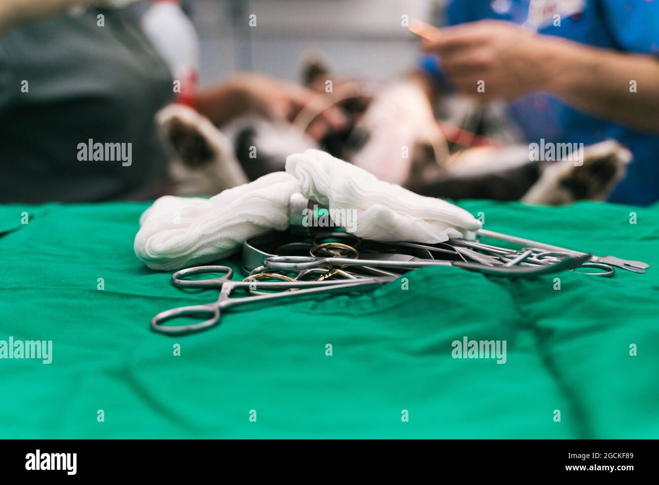Kit of various surgical instruments and napkins in operating room of ...