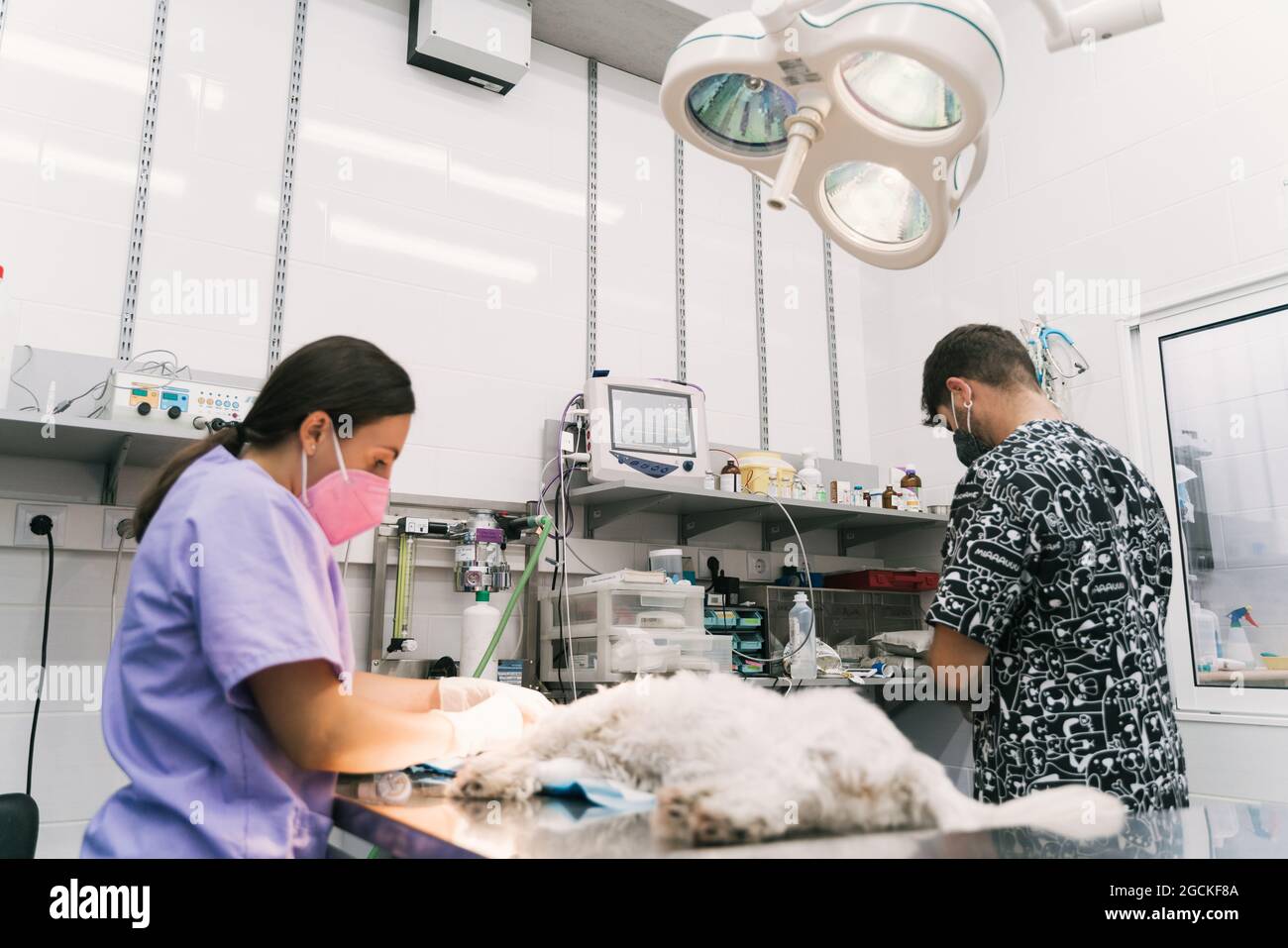 Surgeons Work Environment