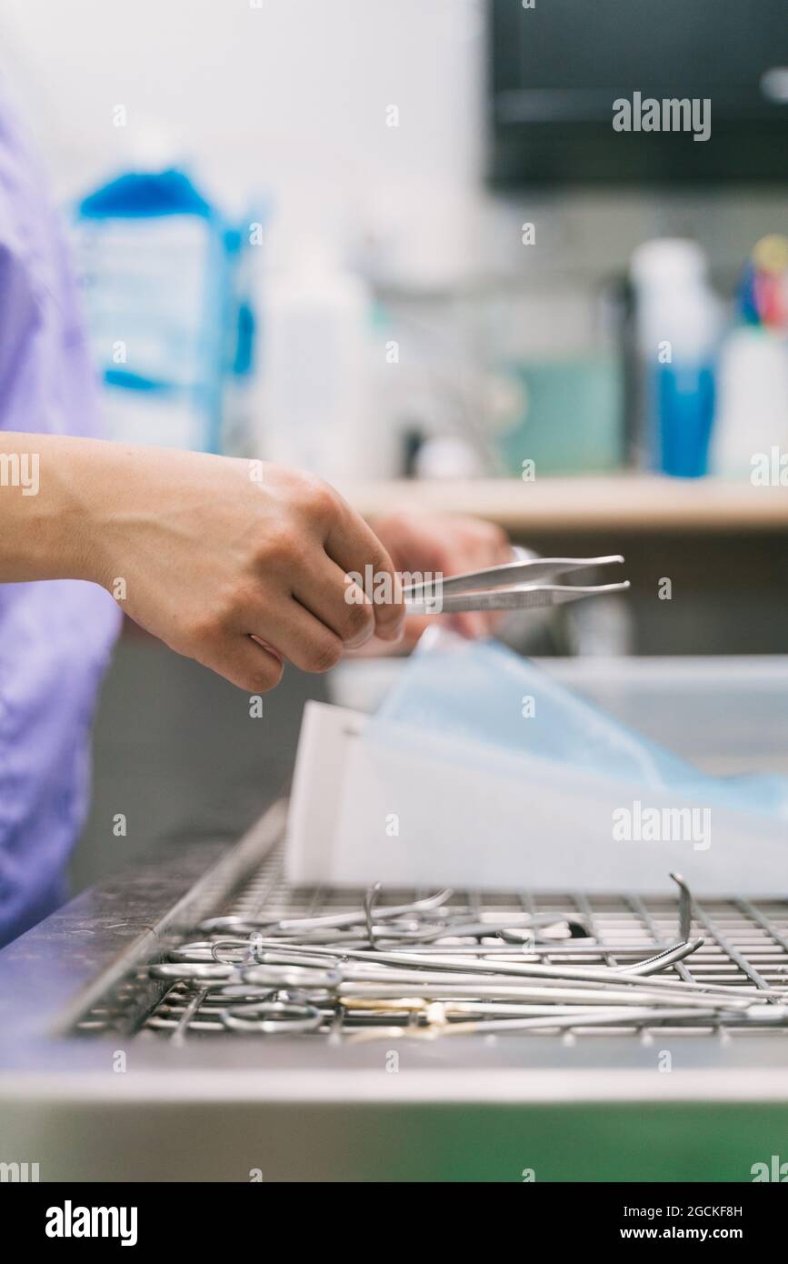 Side view of crop unrecognizable veterinary doctor with metal tweezers ...