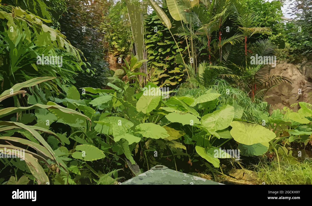 Tropical jungle. Tropical trees and plants. Stylized photo Stock Photo ...