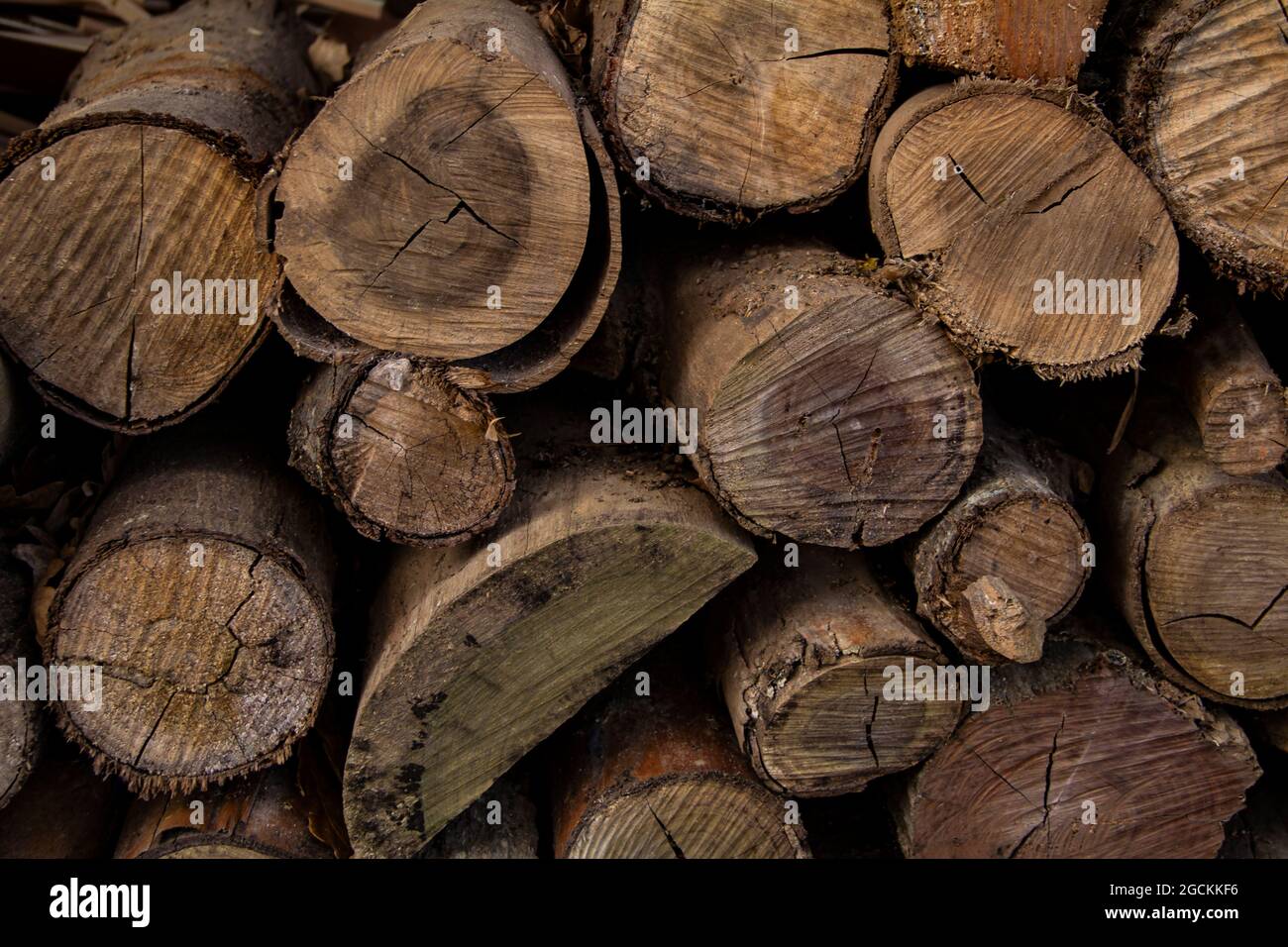 Timber cut and stacked Stock Photo - Alamy