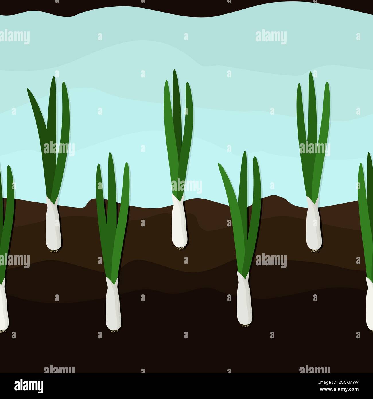 Spring onion onions Stock Vector Images - Alamy