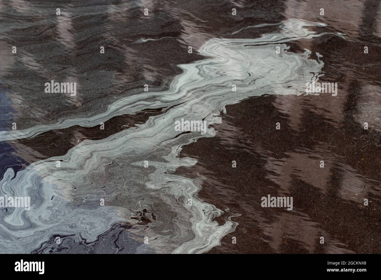 Pollen in a puddle. Beautiful stains in the water. Brownian motion of ...