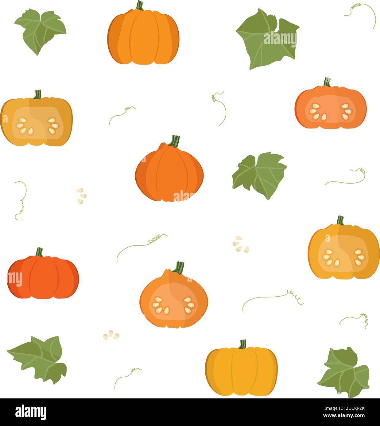 Pumpkins - vector illustration Stock Vector Image & Art - Alamy