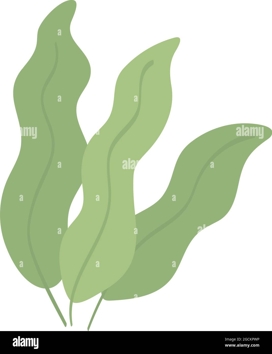 leaves nature and organic Stock Vector Image & Art - Alamy