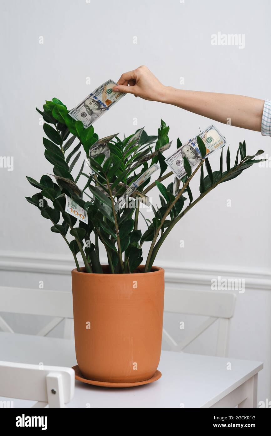 Hand money pot hi-res stock photography and images - Alamy