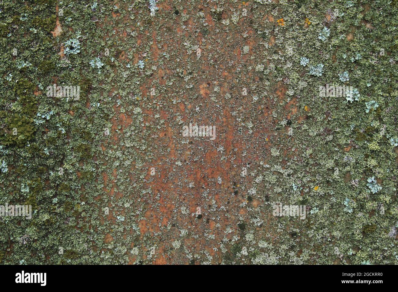 Grungy and uneven metal wall background, texture. Old brown and rusty ...