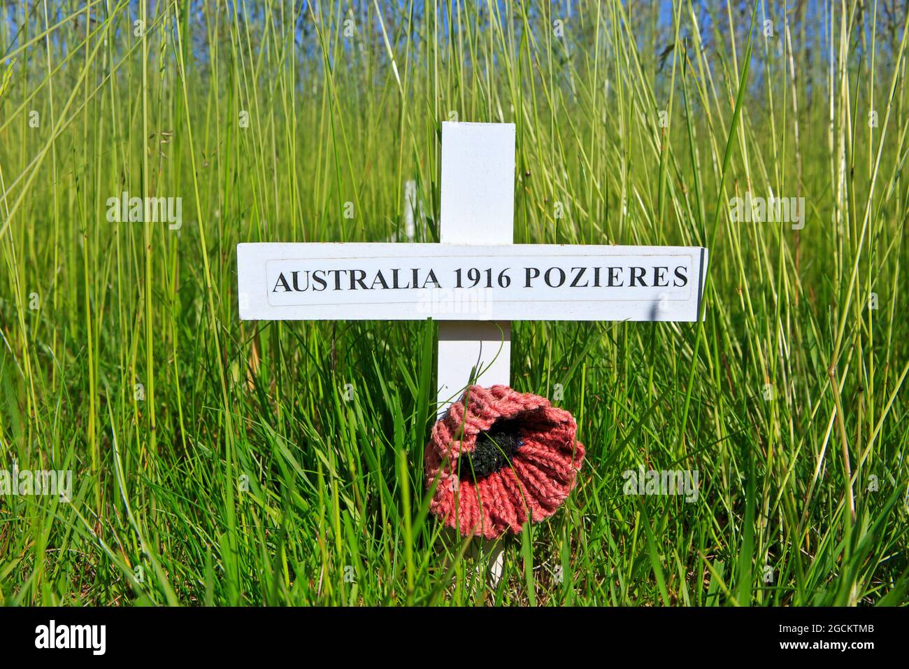 Commemorative cross for one of the many animals that died during the ...