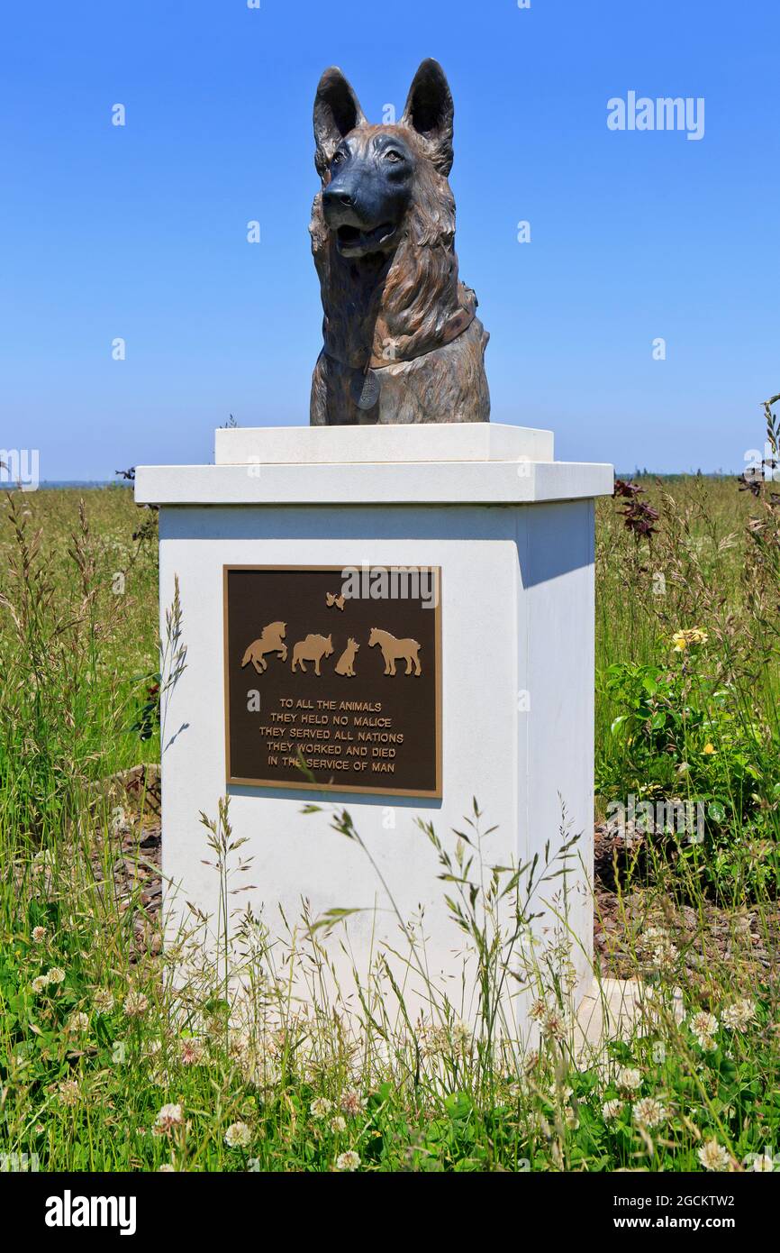 The Bronze Dog Statue, “Faithful Partner” at the WWI Animal War ...
