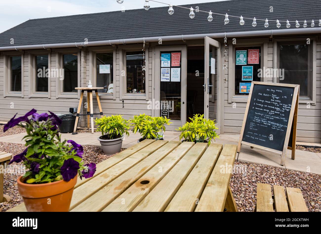 Rosearista Coffee Shop Cafe East Lothian Scotland UK Stock Photo Alamy rosearista-coffee-shop-cafe-east-lothian-scotland-uk-stock-photo-alamy