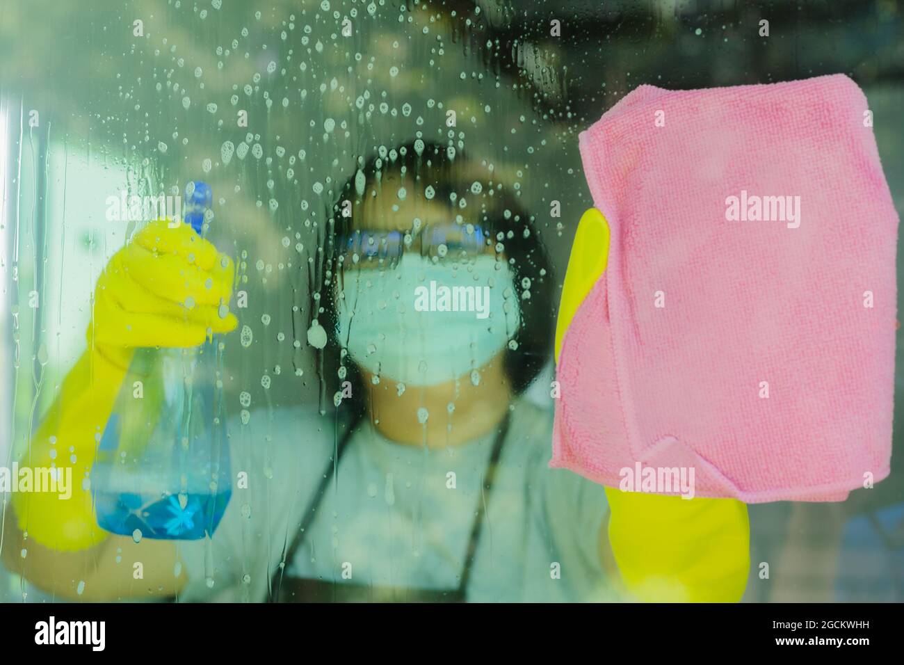 woman spraying and wiping glass Stock Photo - Alamy