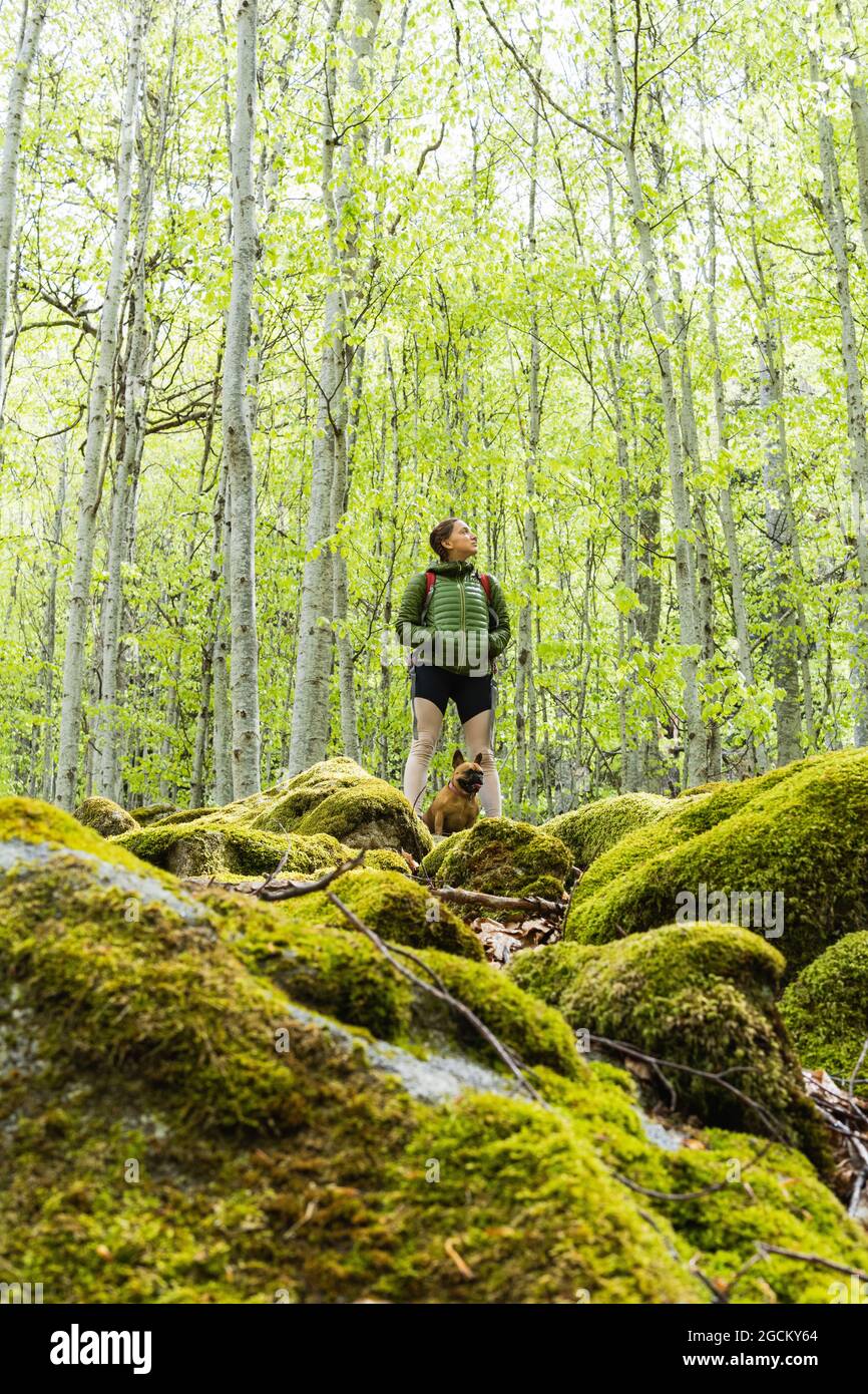 Positive female browsing modern netbook while sitting at table with ...