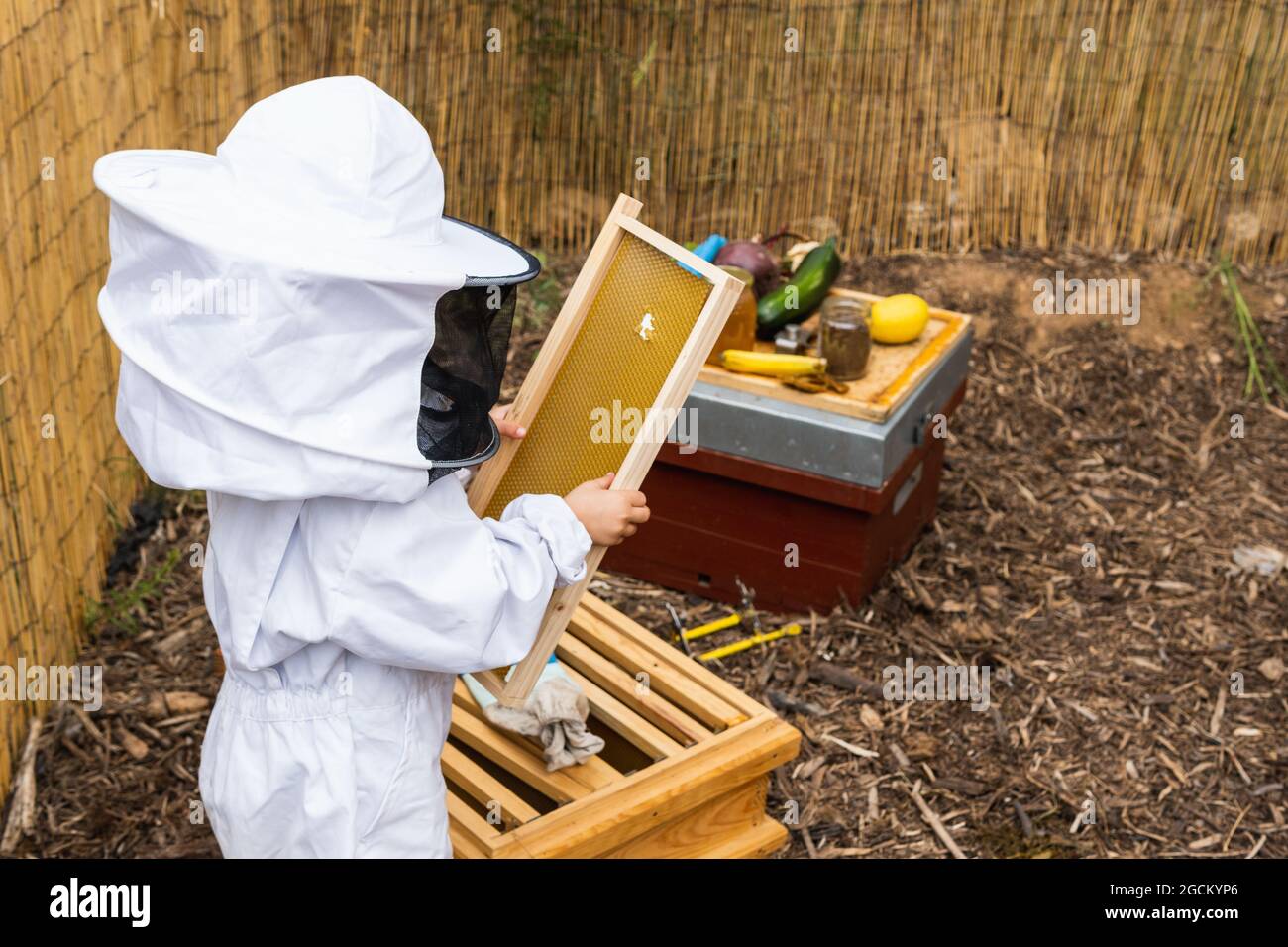 Child beekeeper hi-res stock photography and images - Alamy