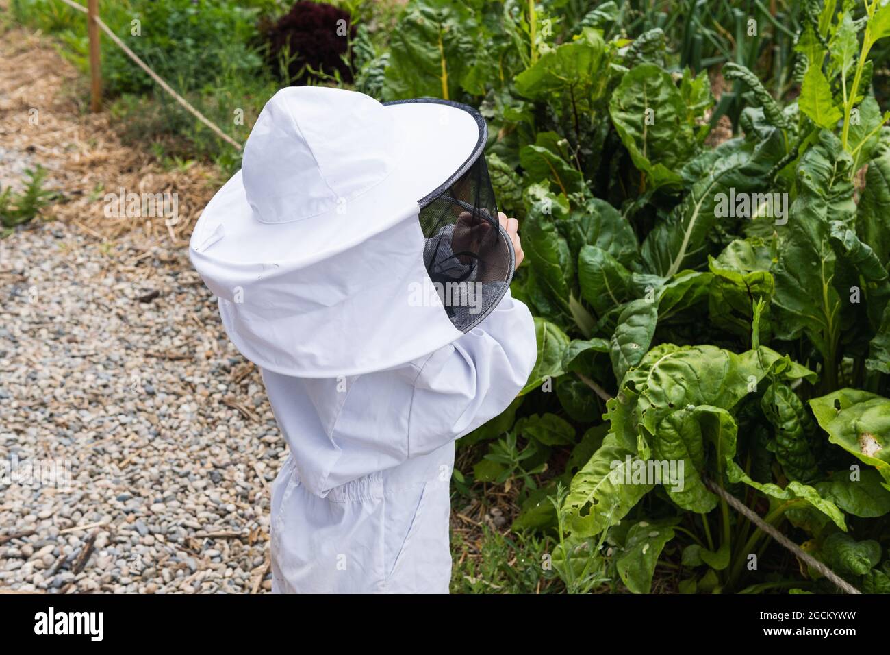 High angle side view of anonymous child in white beekeeper protective ...