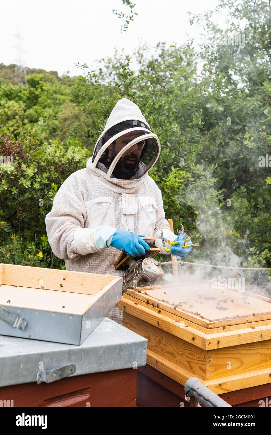 Professional beekeeper fumigate bee hive hi-res stock photography and ...