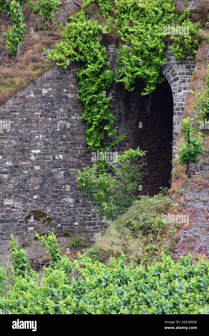 old tunnel entry in the vineyards Stock Photo - Alamy