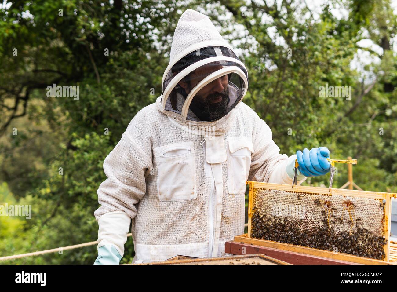 man beekeeper in protective costume and gloves standing with honeycomb ...