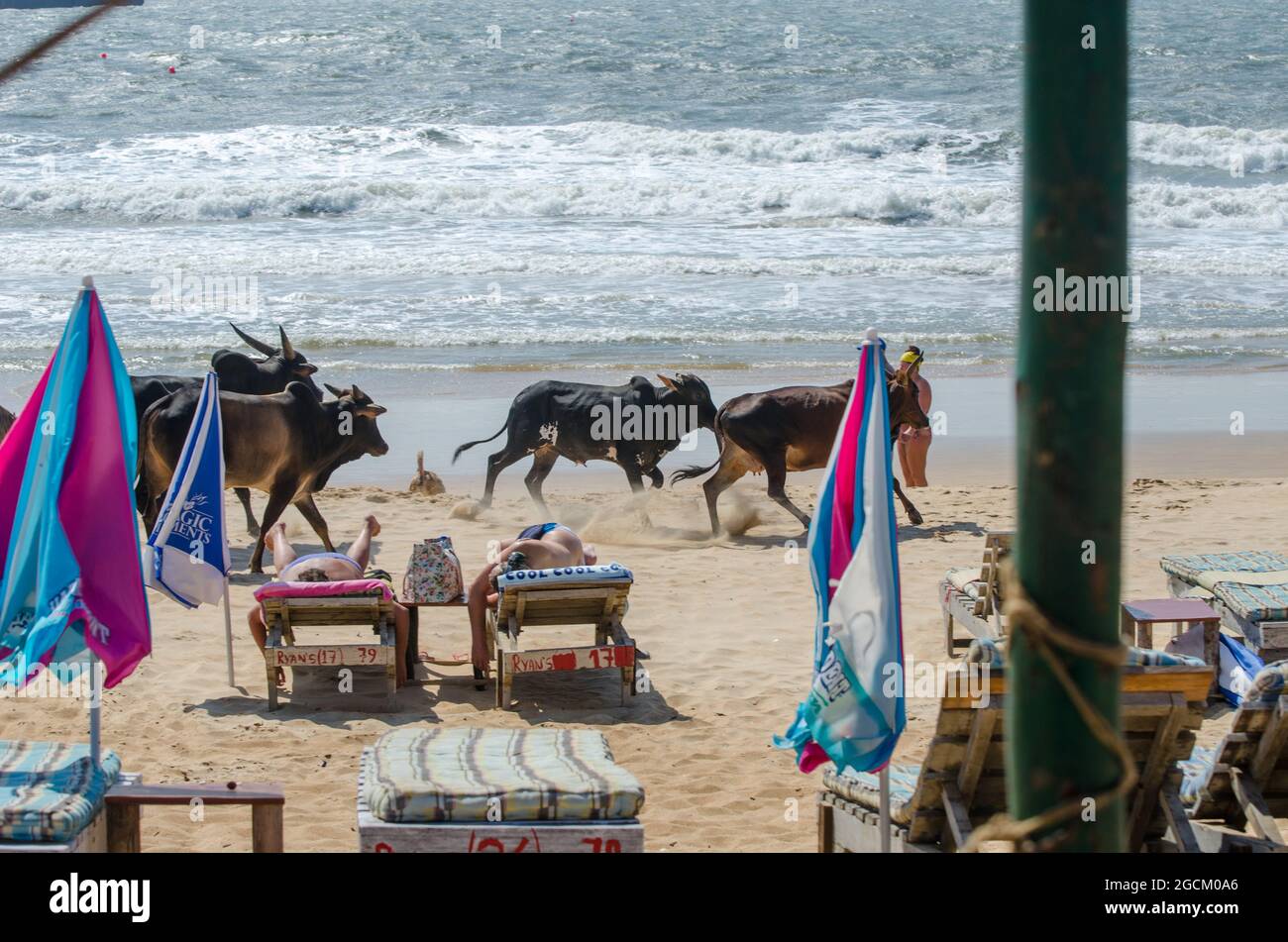 Goa, India Beaches and coastal scenes Stock Photo - Alamy