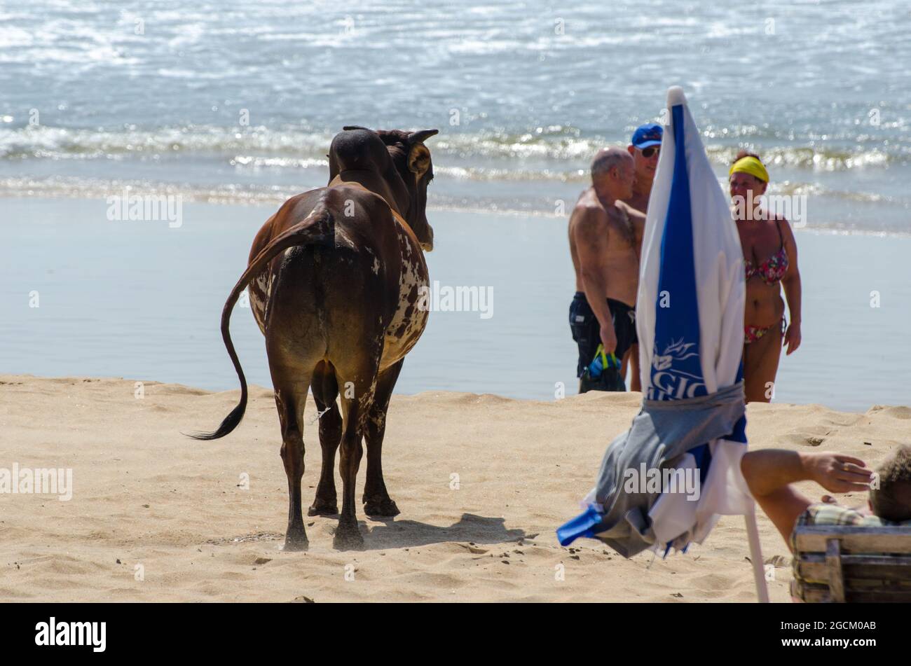 Goa, India Beaches and coastal scenes Stock Photo - Alamy