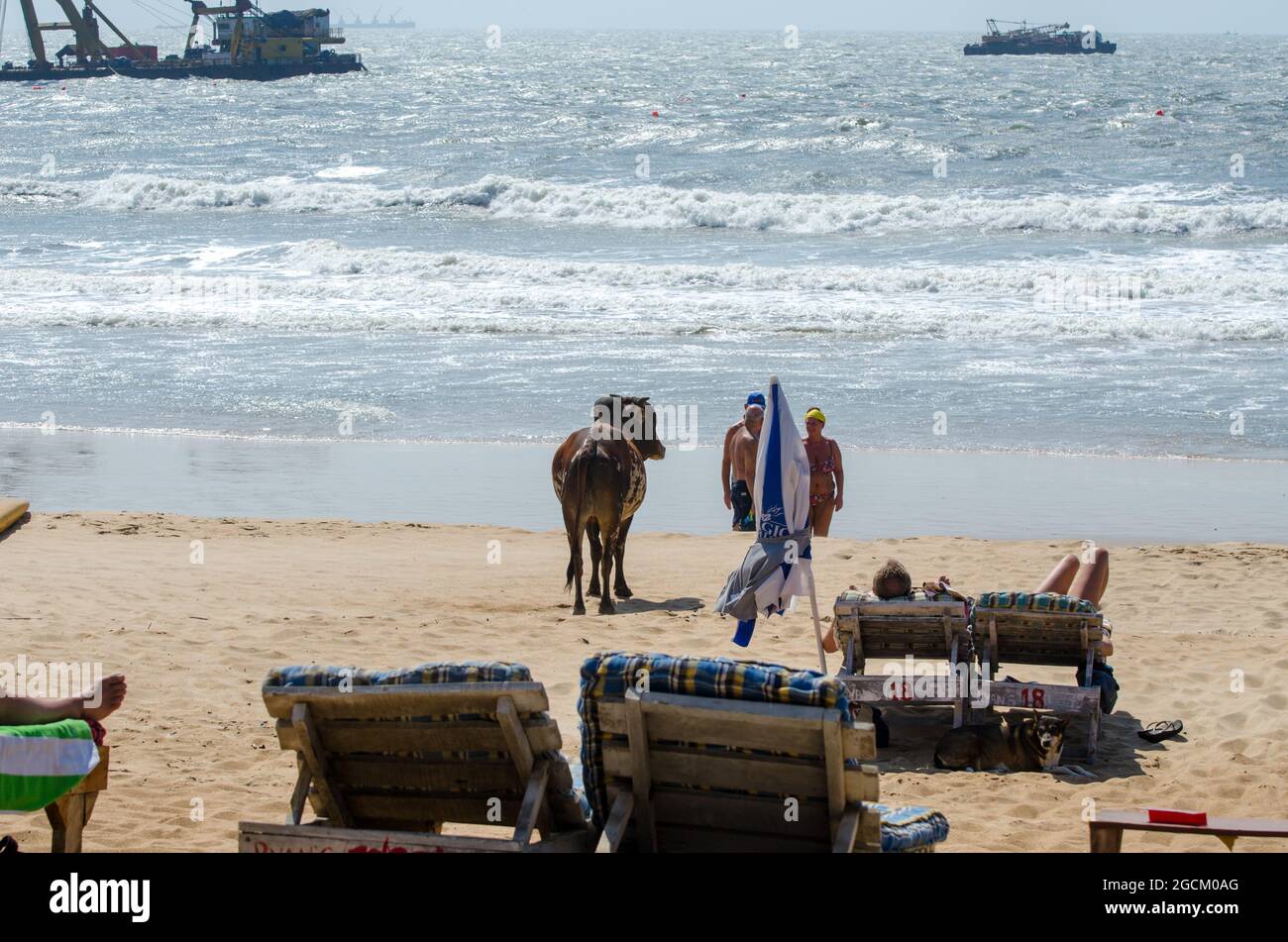 Goa, India Beaches and coastal scenes Stock Photo - Alamy