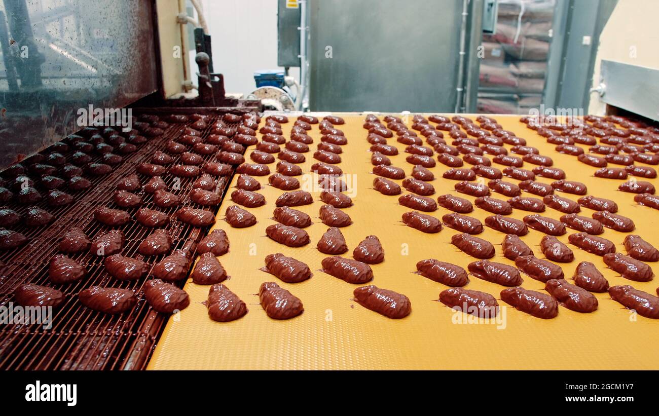 Candy factory. Conveyor with chocolate candies. Bunch of yummy sweets ...