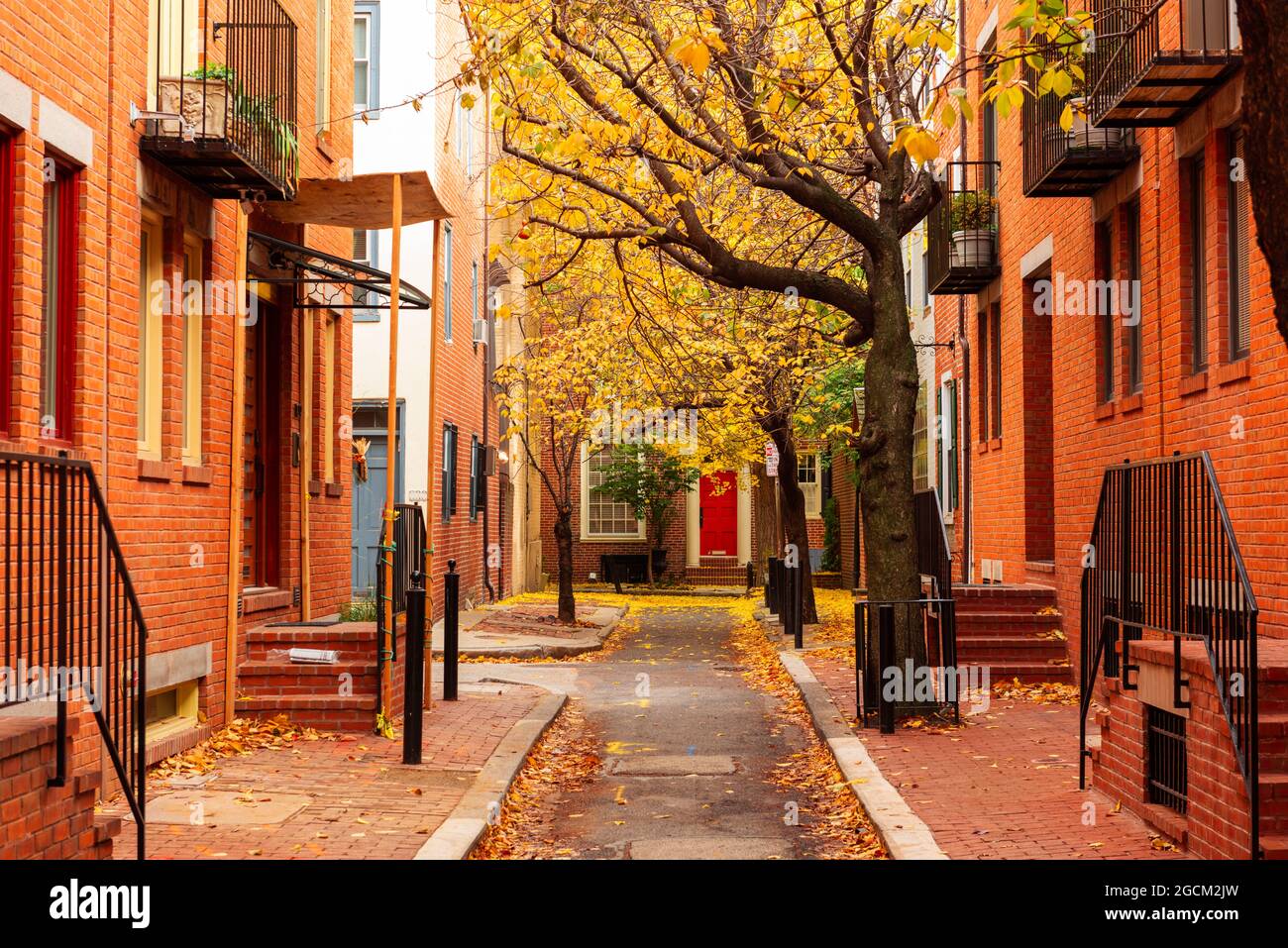 Autumn alleyway in a traditional neighborhood in Philadelphia ...