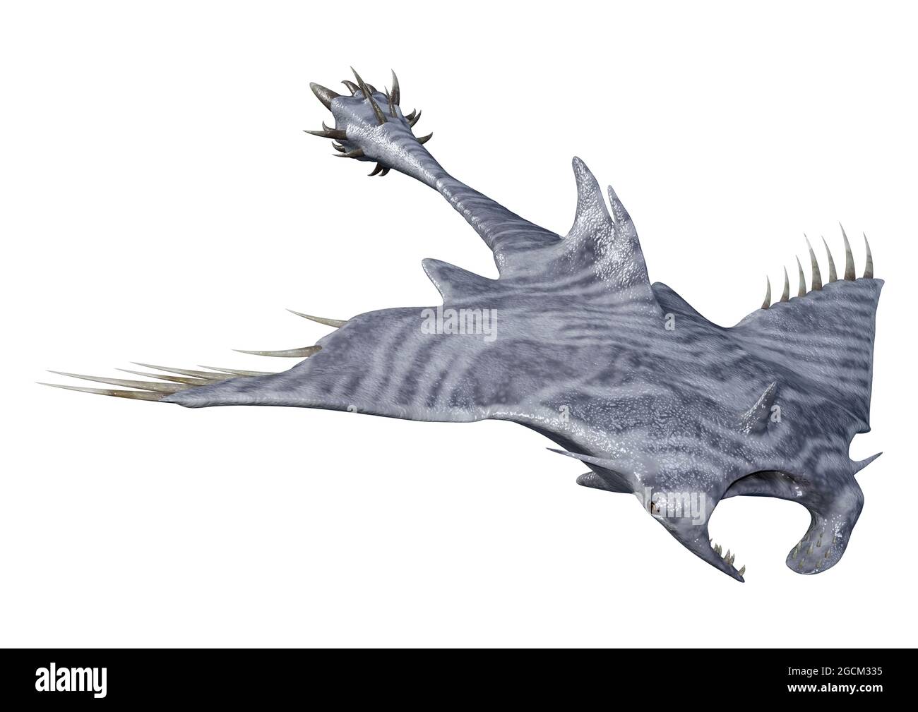 3D rendering of a devil ray isolated on white background Stock Photo ...
