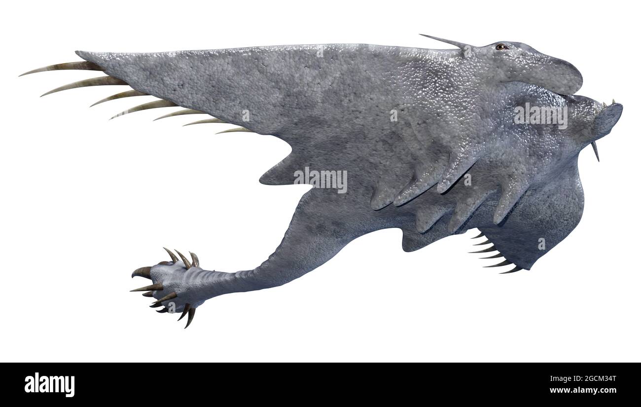 3D rendering of a devil ray isolated on white background Stock Photo ...