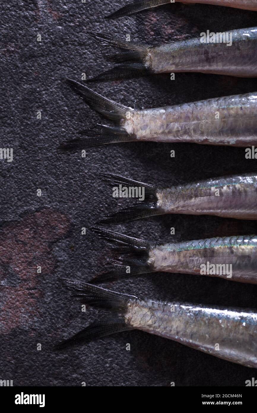 Fishing tails hi-res stock photography and images - Alamy