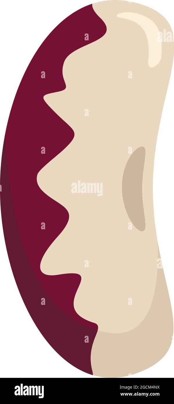 Legume kidney bean icon. Flat illustration of legume kidney bean vector ...