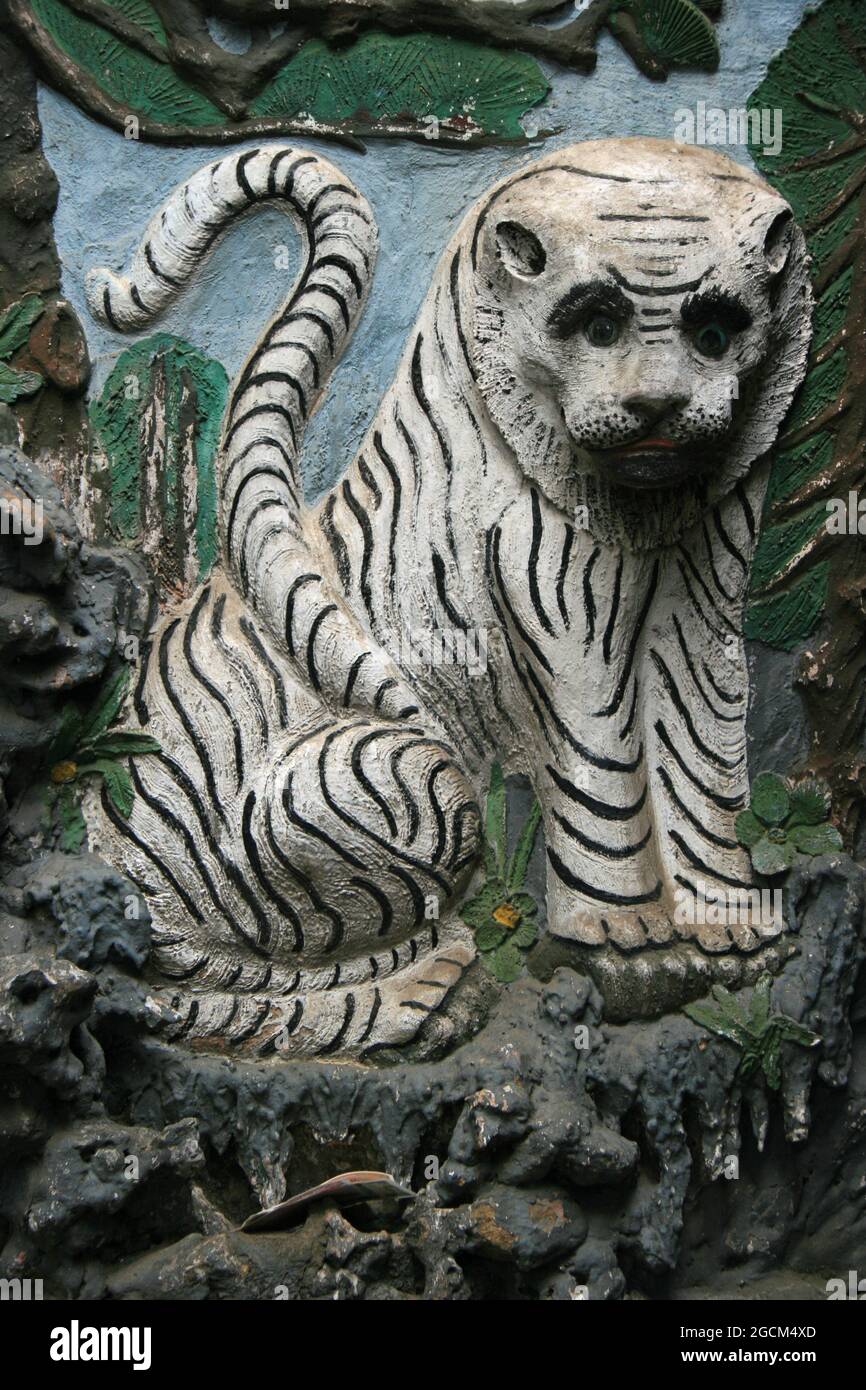 Tiger temple vietnam hi-res stock photography and images - Alamy