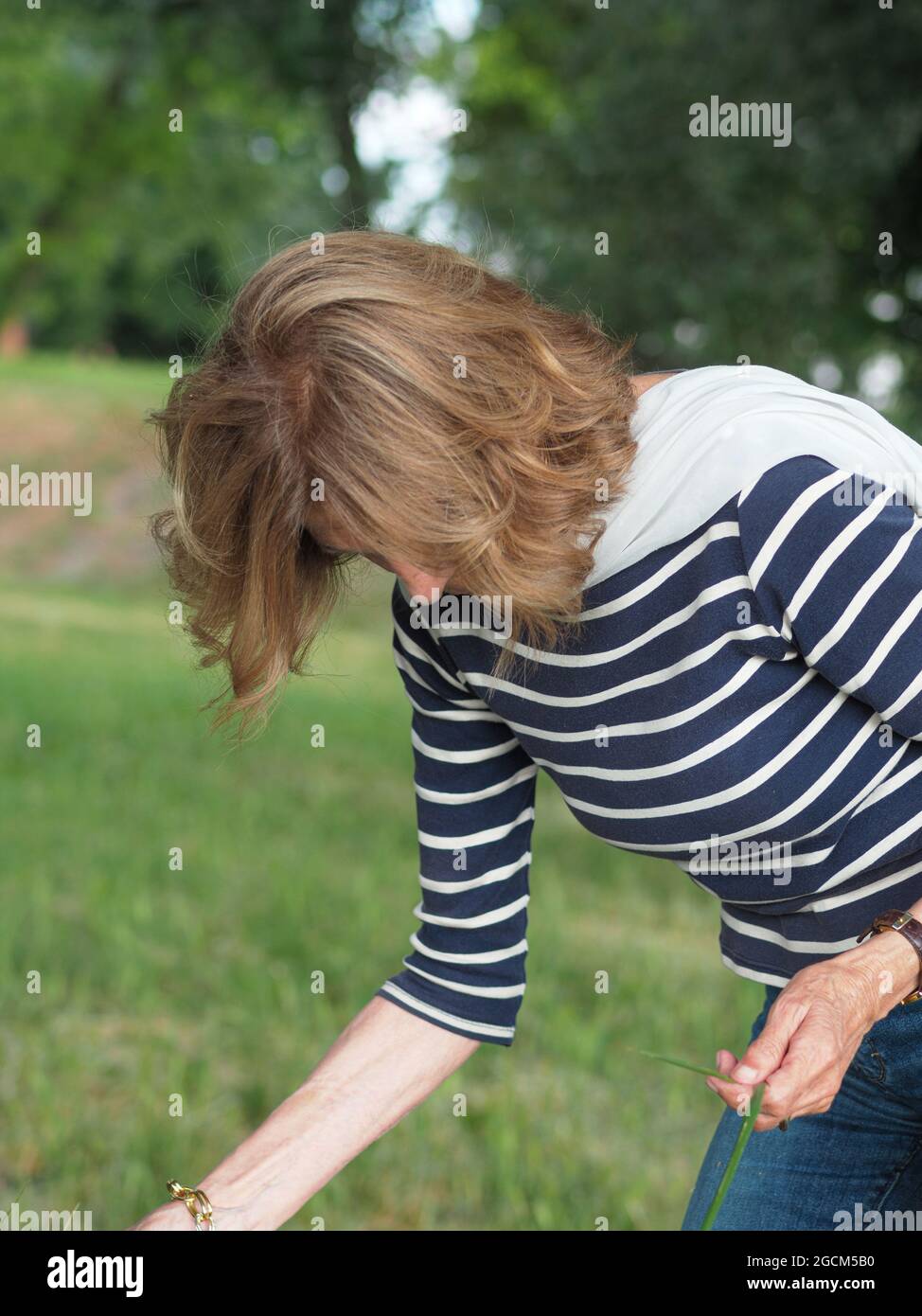 Selective of an old woman picking grass from the park Stock Photo - Alamy