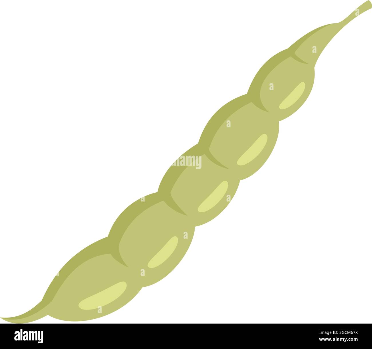 Raw kidney bean icon. Flat illustration of raw kidney bean vector icon ...