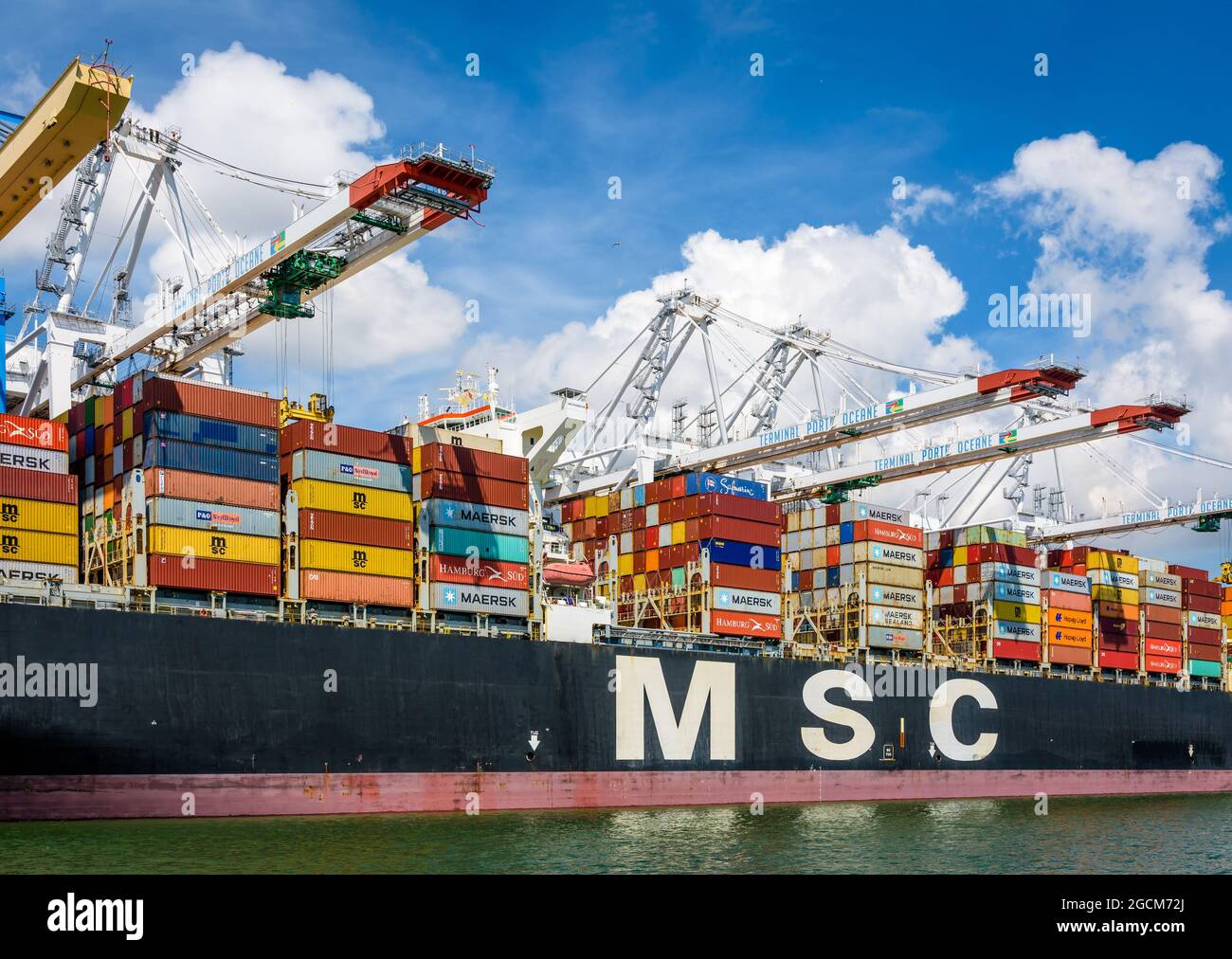 Side view of MSC Bettina container ship docked in Port 2000 container ...