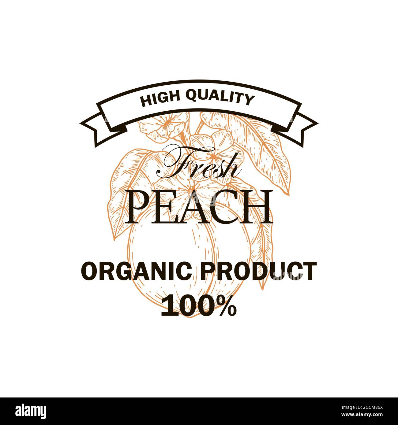 Hand drawn peach product logo. Vector illustration in sketch style ...