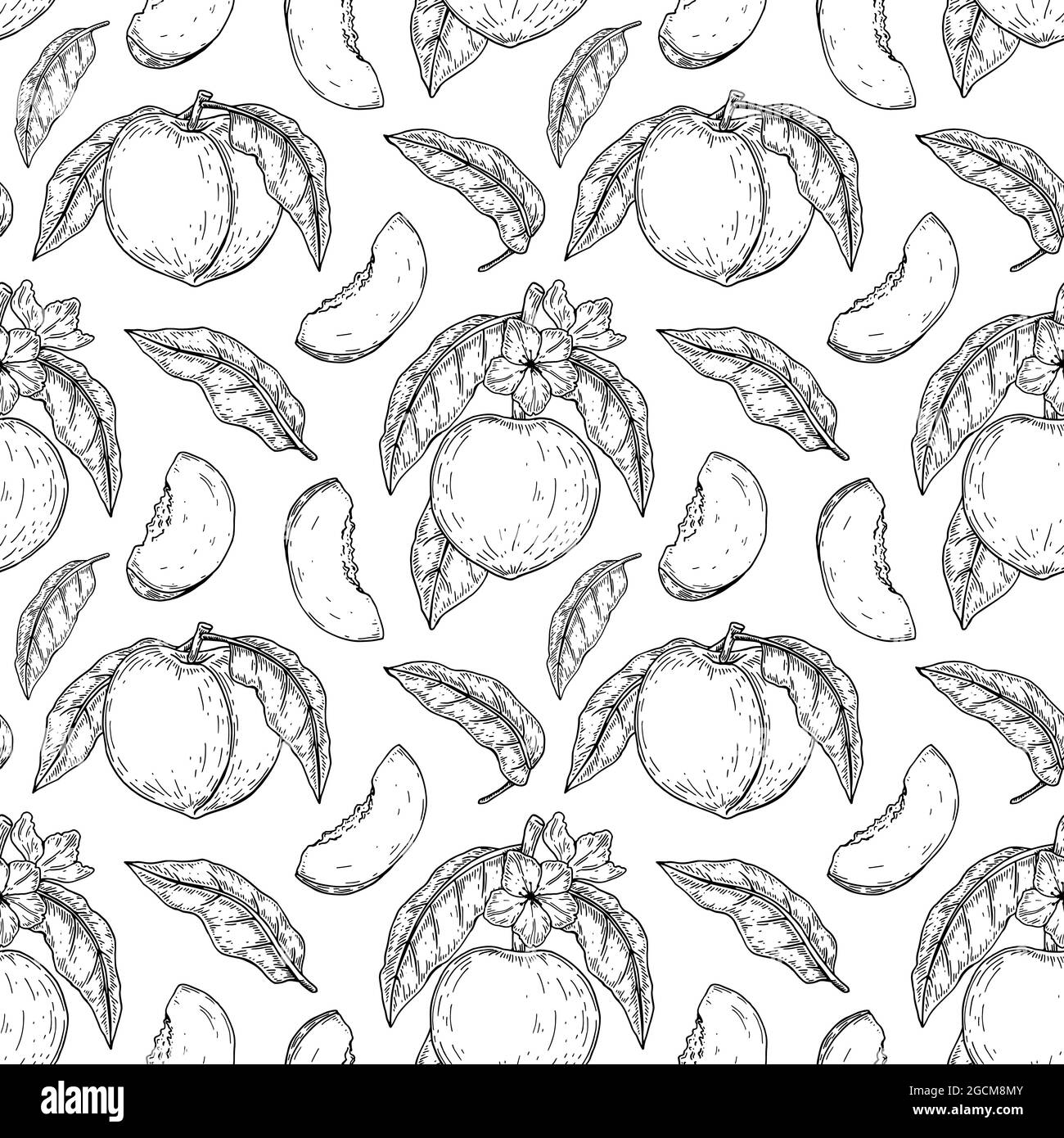 Hand drawn peach seamless pattern. Vector illustration Stock Vector ...