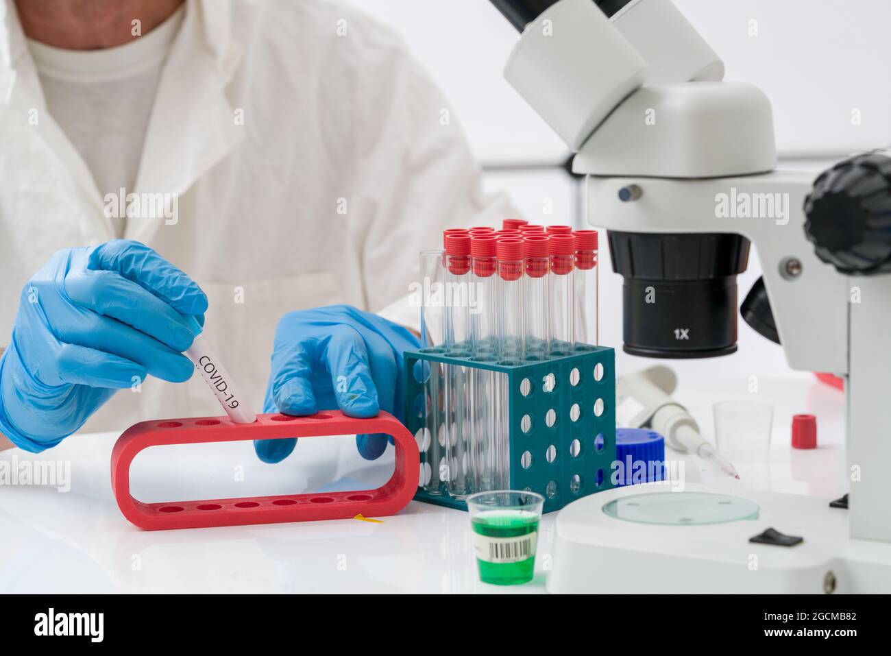 Experiment in the genetic laboratory for growing artificial organs ...