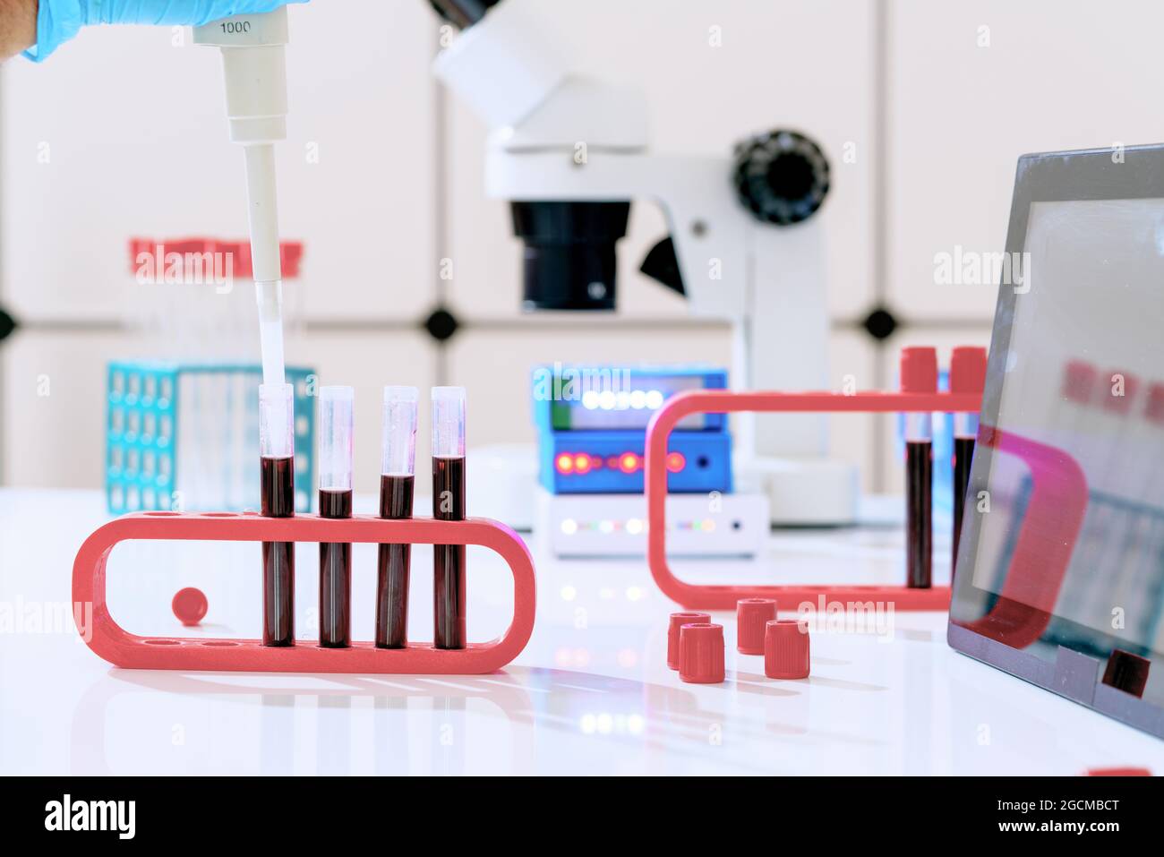 Blood test for hormones and microelements in a biochemical laboratory ...