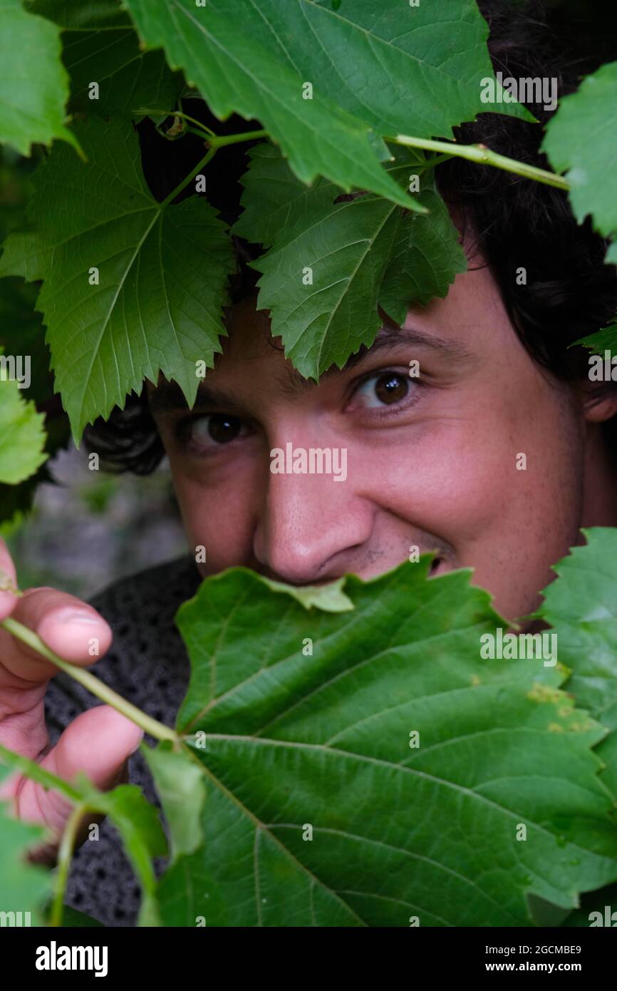Smiling man hiding behind a vine in a vineyard, France Stock Photo - Alamy