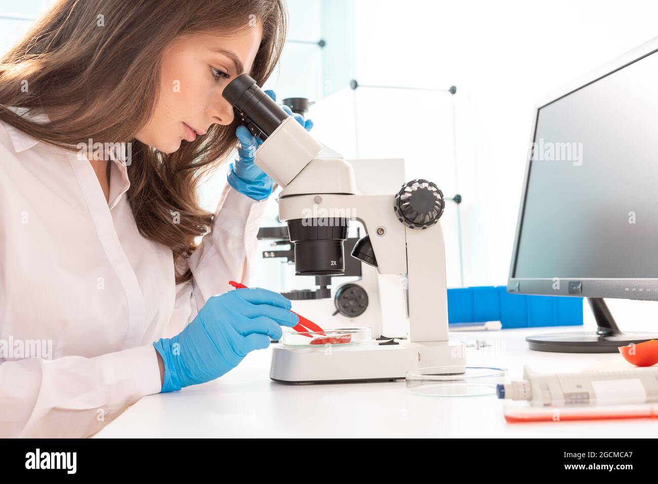 Inspection of the quality of vegetables and fruits in the laboratory of ...