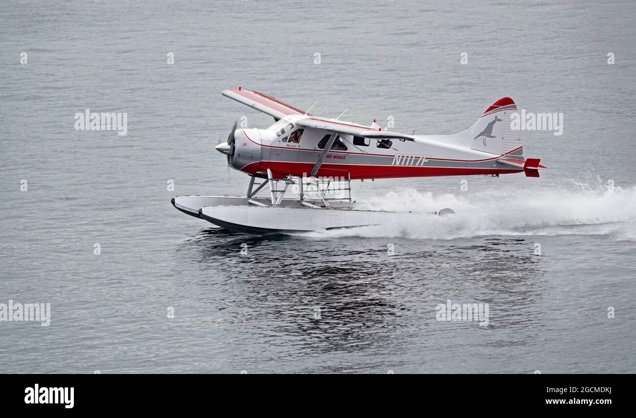 A DeHaviland Beaver bush plane takes off from the Ketchikan, Alaska ...