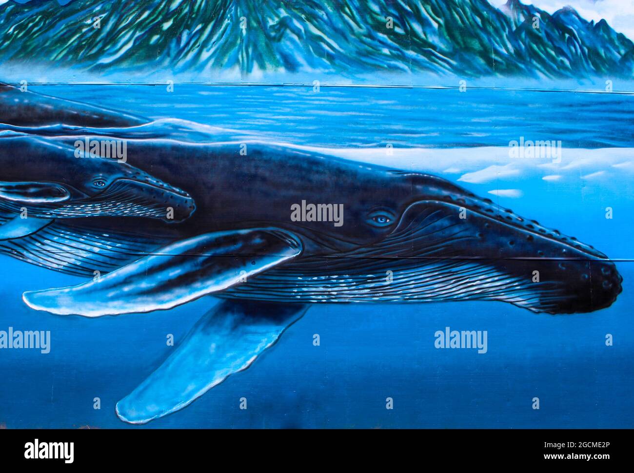 Whales Under the Sea Stock Photo - Alamy