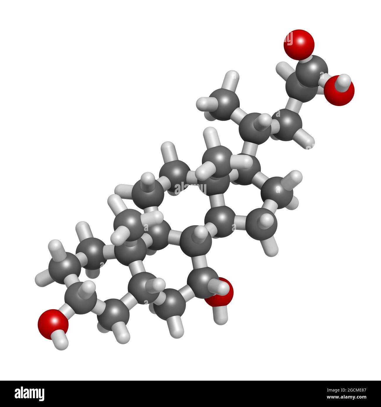 Chenodeoxycholic acid drug molecule. 3D rendering. Atoms are rep Stock ...