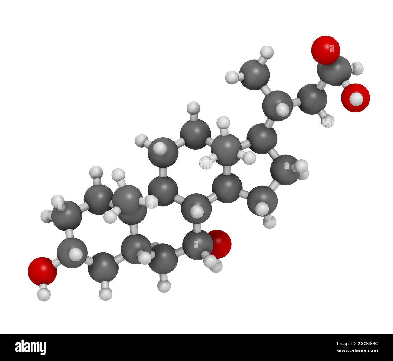 Chenodeoxycholic acid drug molecule. 3D rendering. Atoms are rep Stock ...