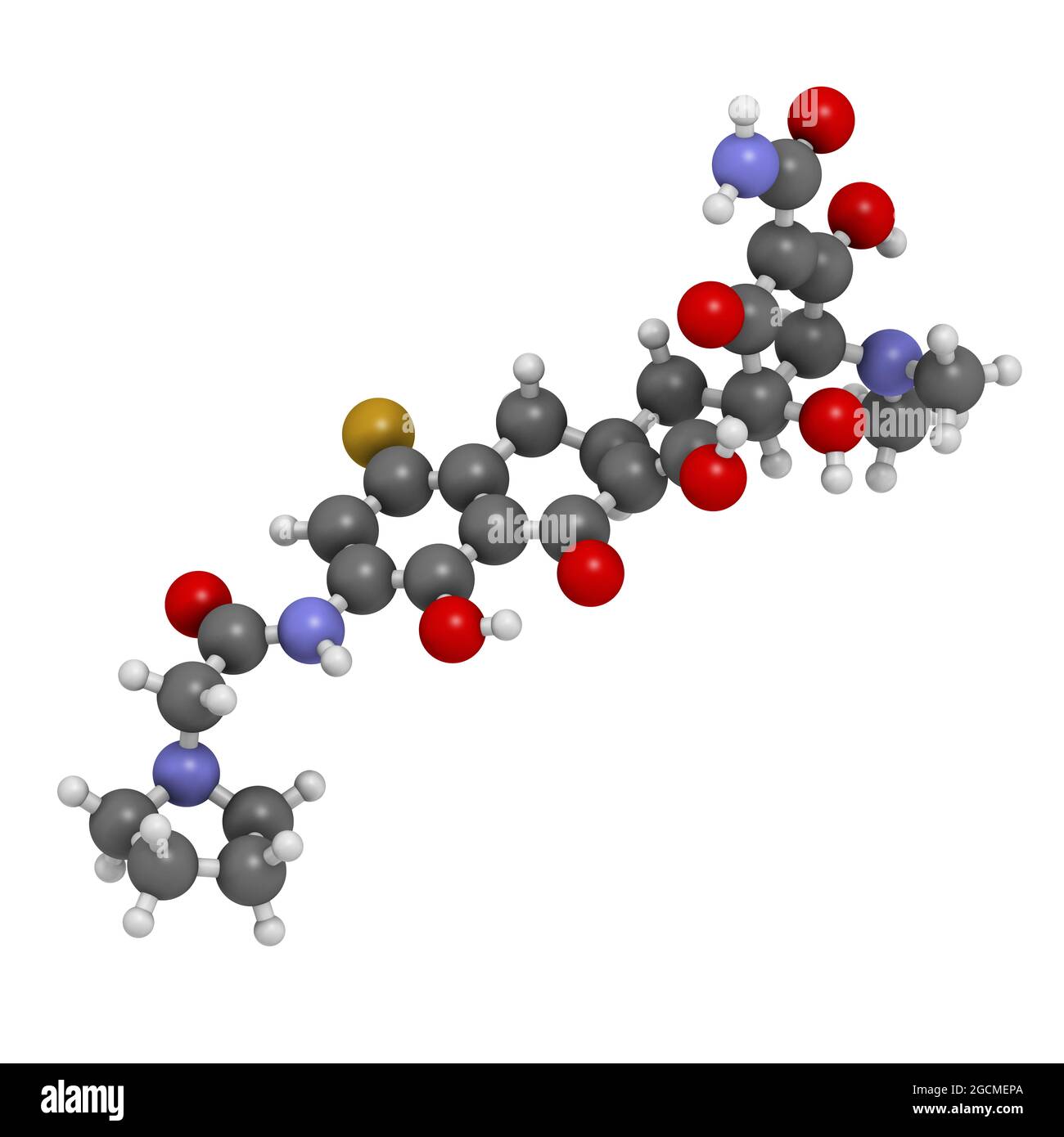 Bacteria acinetobacter hi-res stock photography and images - Alamy