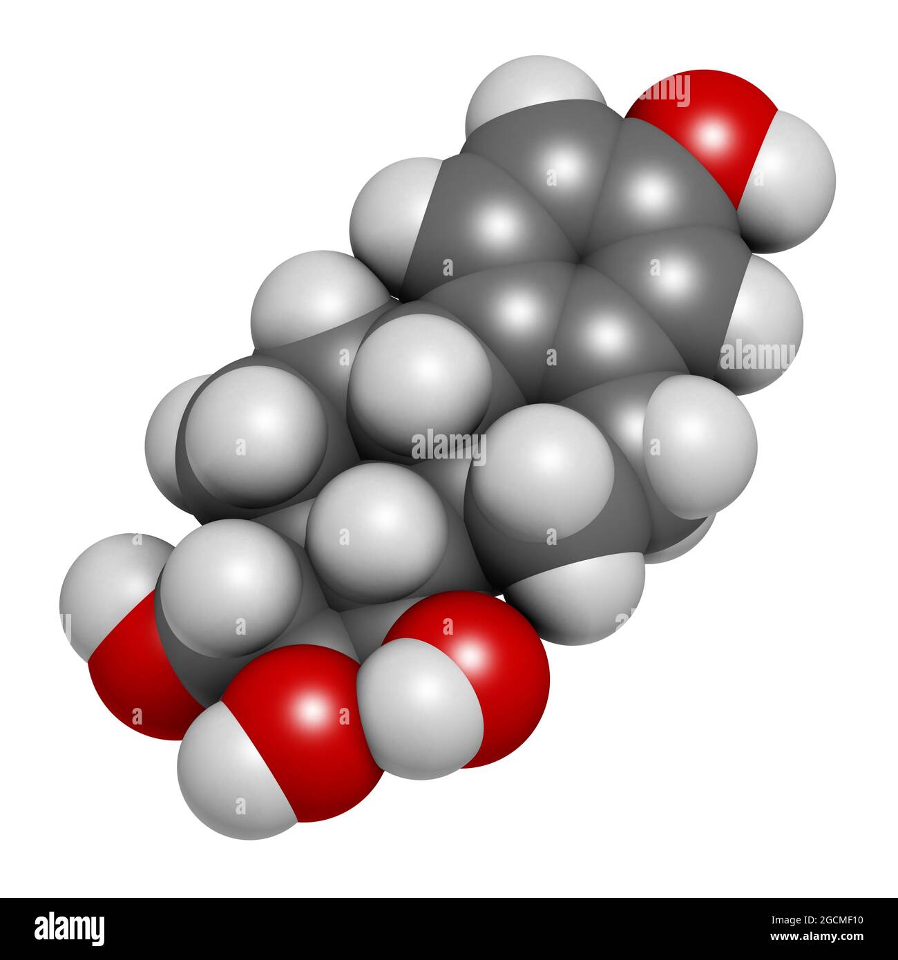Estrogenic hormone hi-res stock photography and images - Alamy