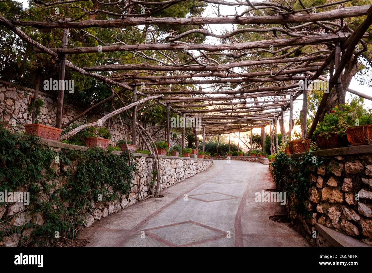Wood trellis hi-res stock photography and images - Alamy