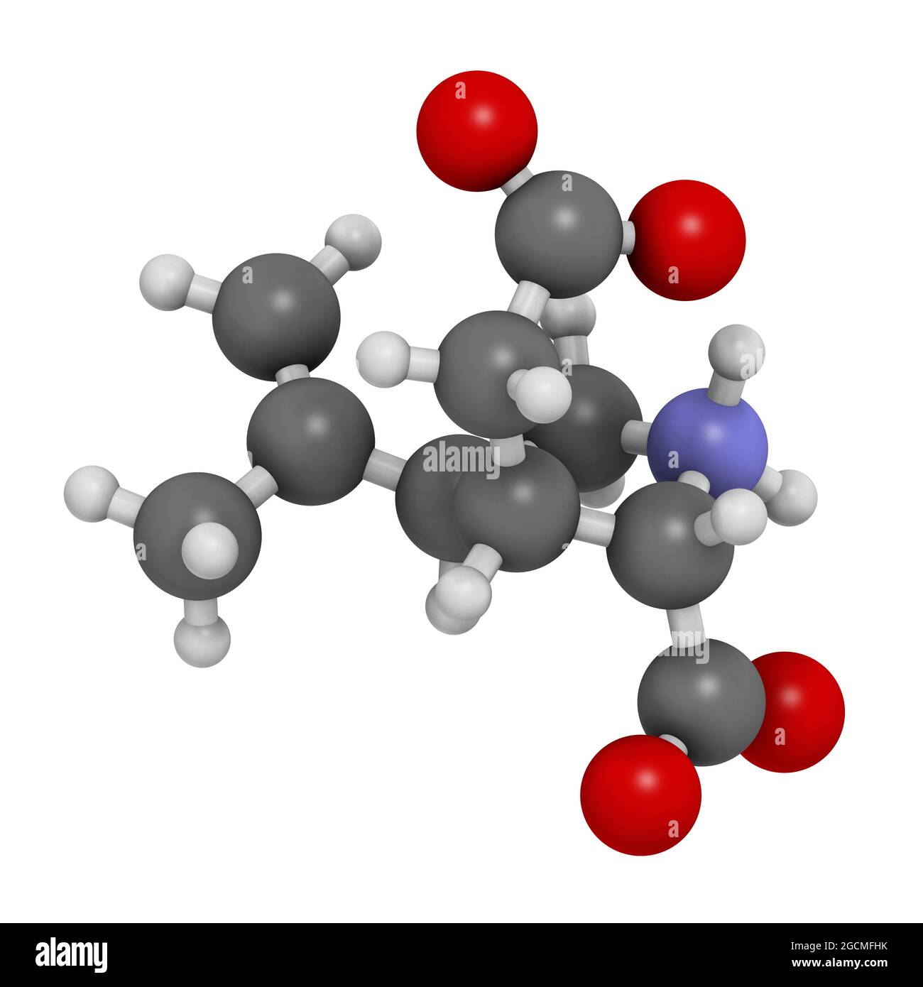 Kainic acid molecule. Direct agonist of the glutamic kainate re Stock ...