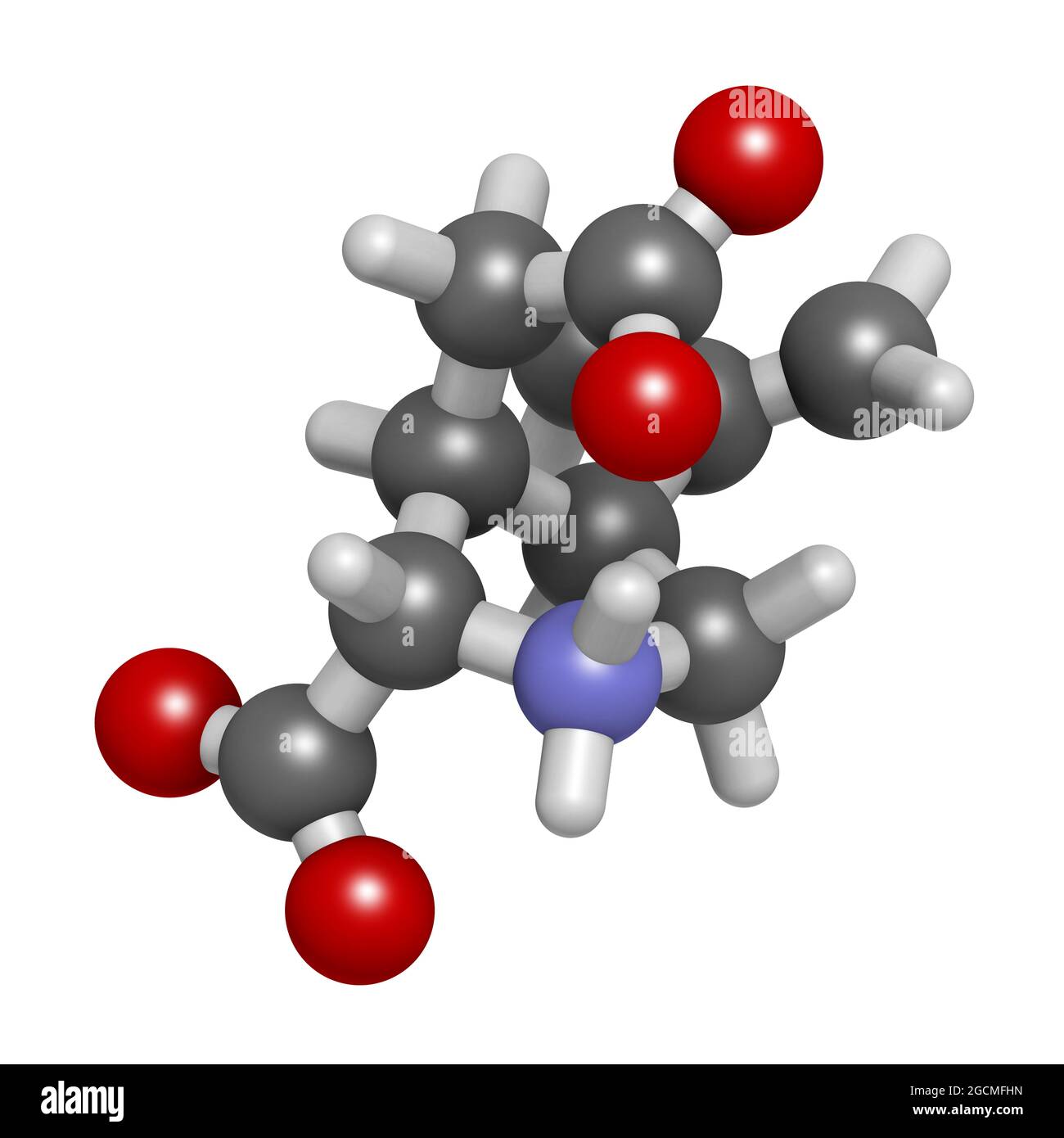 Kainic acid molecule. Direct agonist of the glutamic kainate re Stock ...