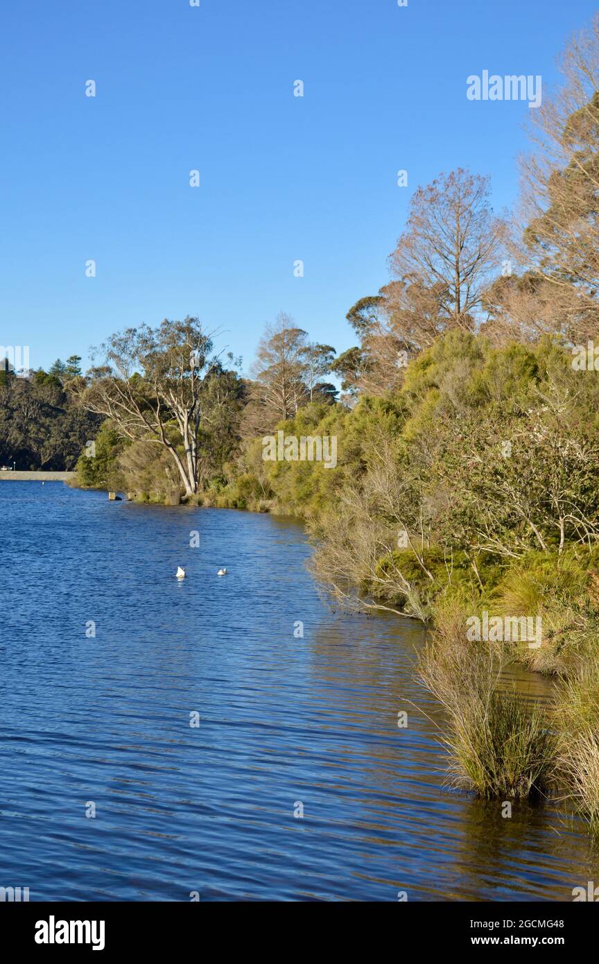 Wentworth Falls Lake Stock Photo - Alamy